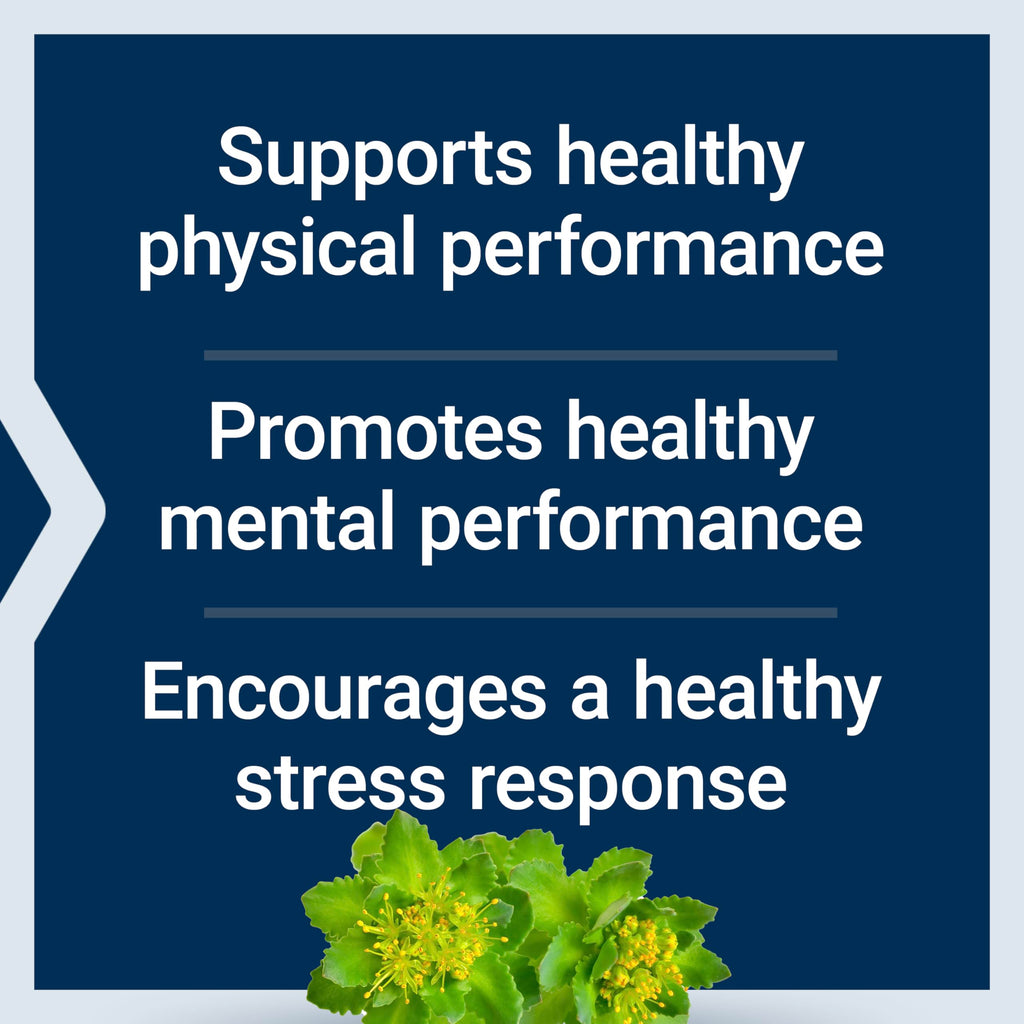 Rhodiola rosea for improved focus