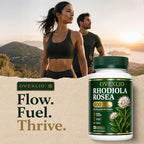 Rhodiola Rosea for improved focus
