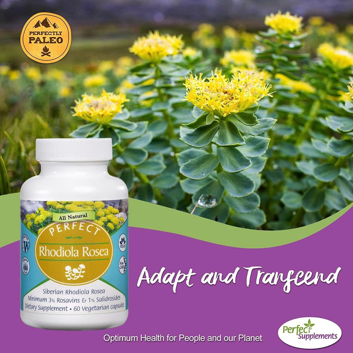 rhodiola rosea for mental clarity
