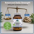Rhodiola Rosea for mental clarity