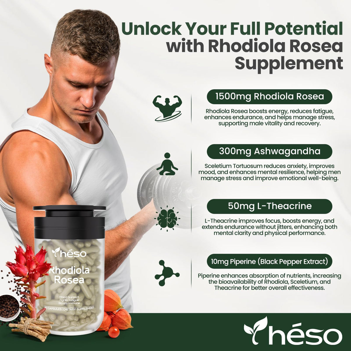 Rhodiola Rosea for overall wellness