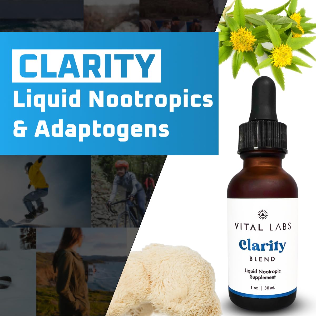 Rhodiola Rosea liquid nootropic benefits