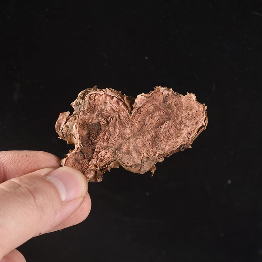 Rhodiola Rosea root slices for wellness