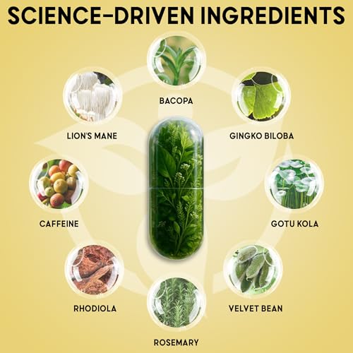 Rhodiola stress relief and focus