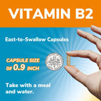 Riboflavin capsules for skin health
