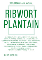 Ribwort Plantain tea for soothing relief