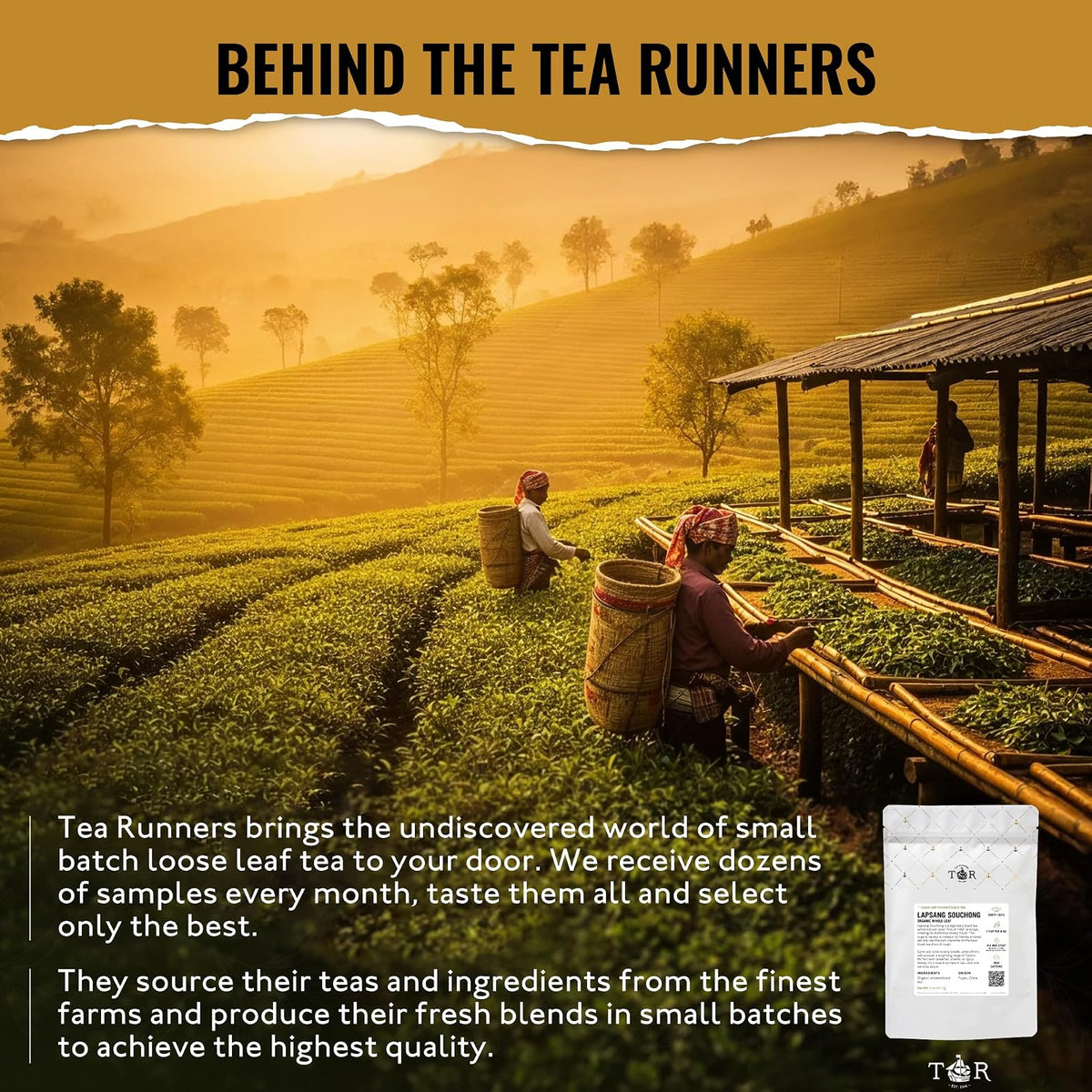 rich aroma herbal tea experience
