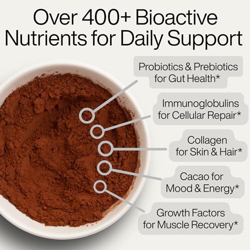 rich chocolate flavour collagen supplement