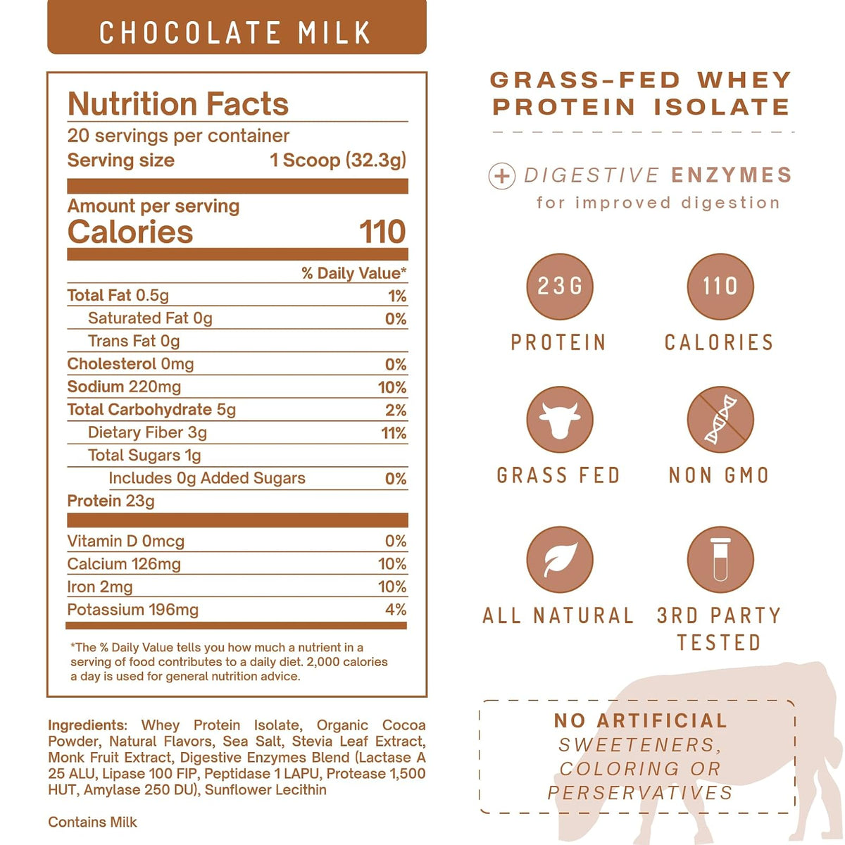 rich chocolate flavour protein powder