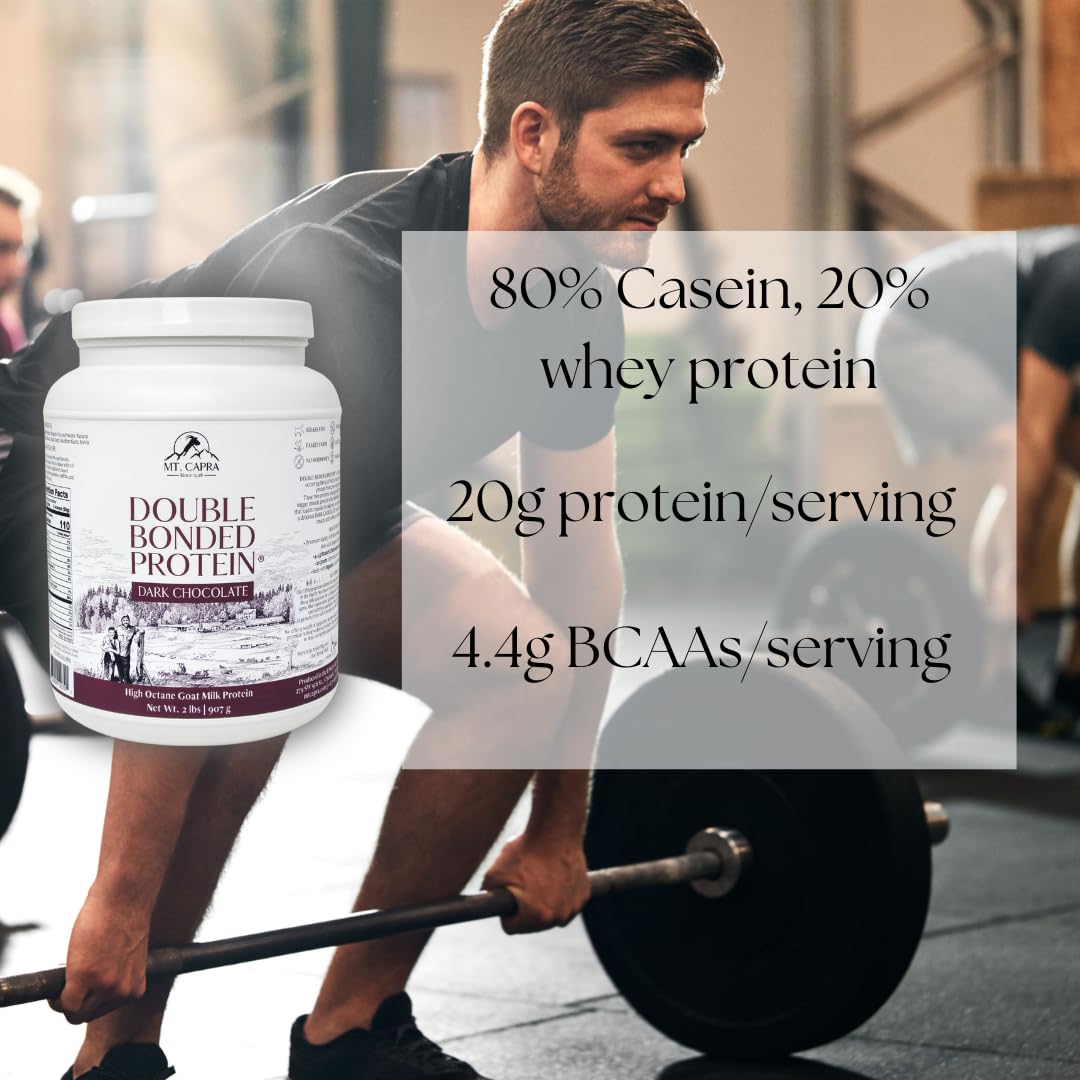 rich dark chocolate flavour whey protein