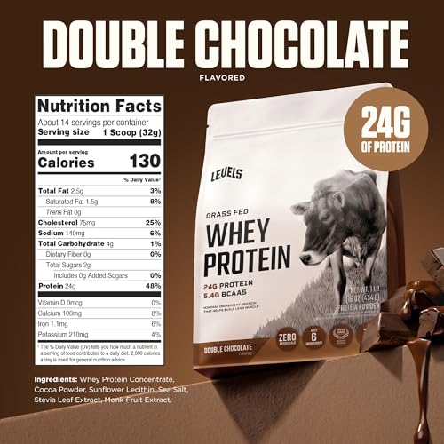 rich double chocolate whey protein powder