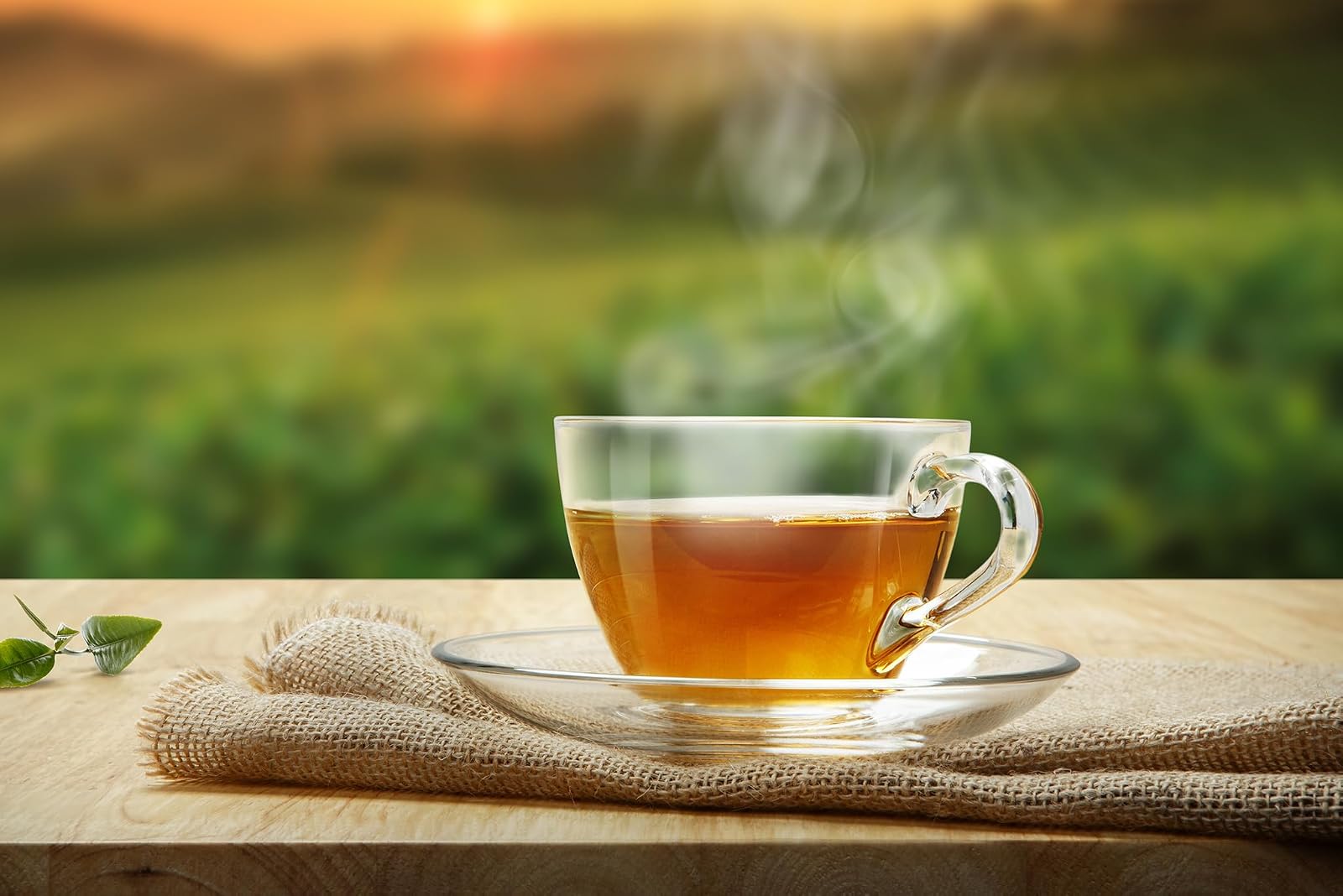 rich flavour black tea bags