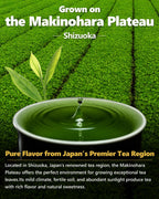 rich flavour green tea bags
