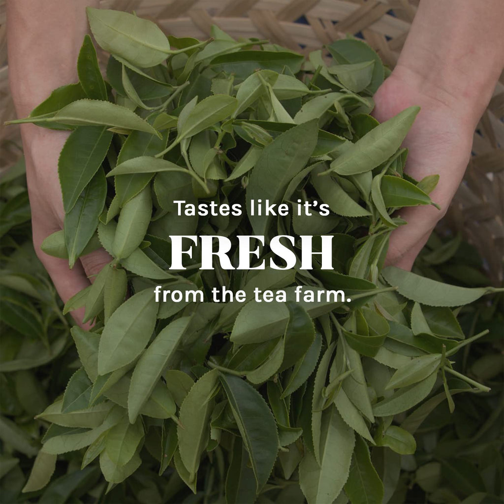 rich flavour Pu-Erh herbal tea