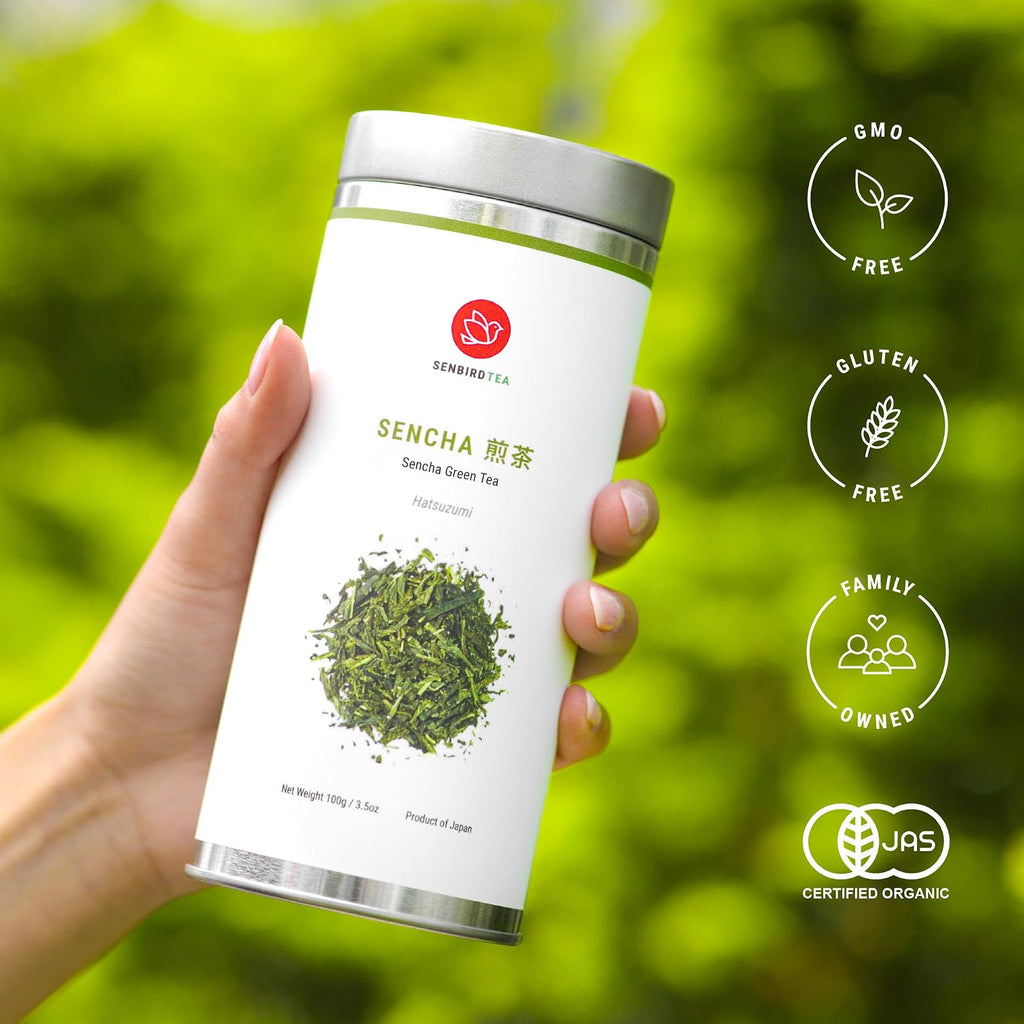 rich flavour Sencha green tea