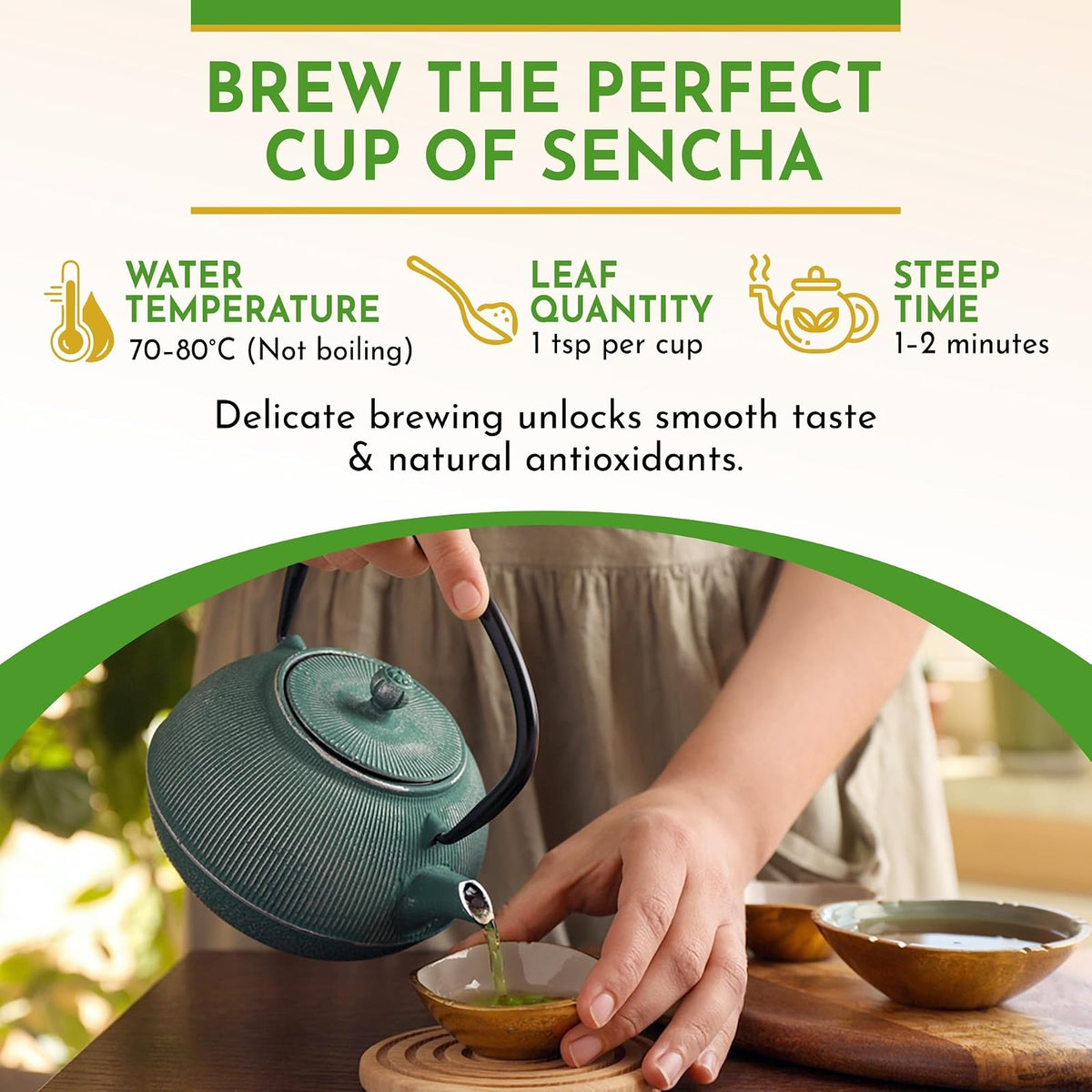 rich flavour sencha green tea