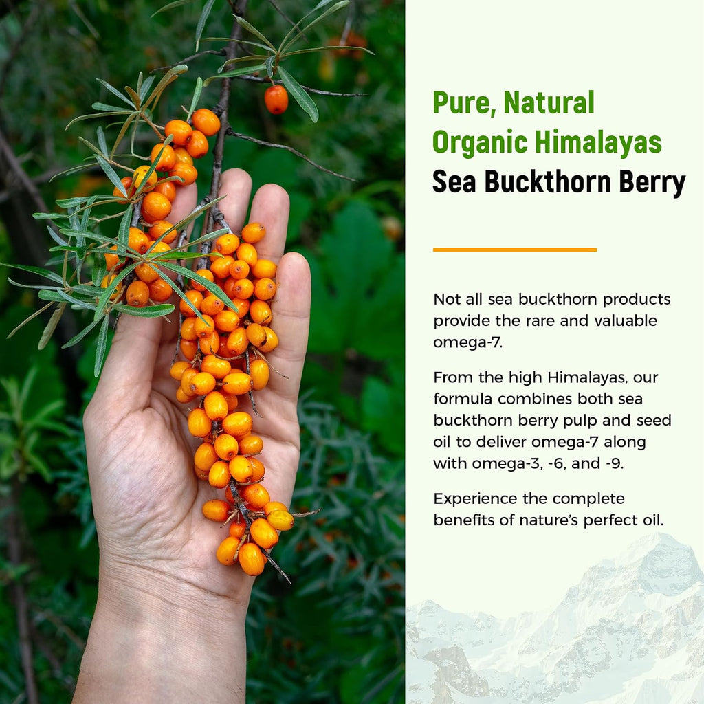 Rich in antioxidants and nutrients
