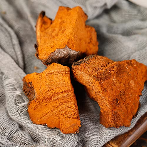 Rich in antioxidants Chaga mushrooms