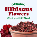 Rich in antioxidants hibiscus tea