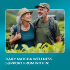 Rich in antioxidants matcha tea