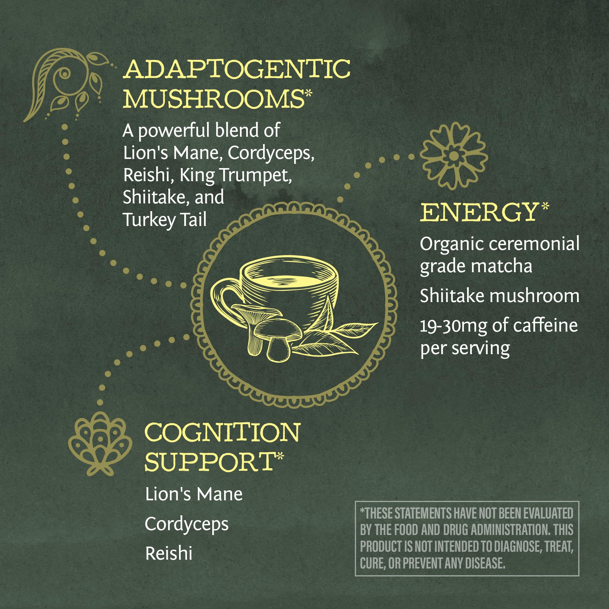 rich in antioxidants mushroom powder