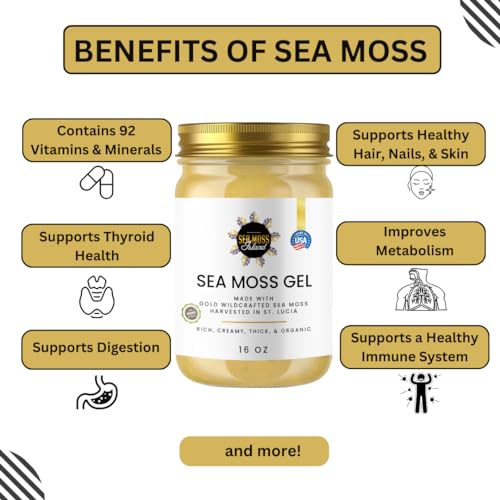 rich in minerals sea moss gel