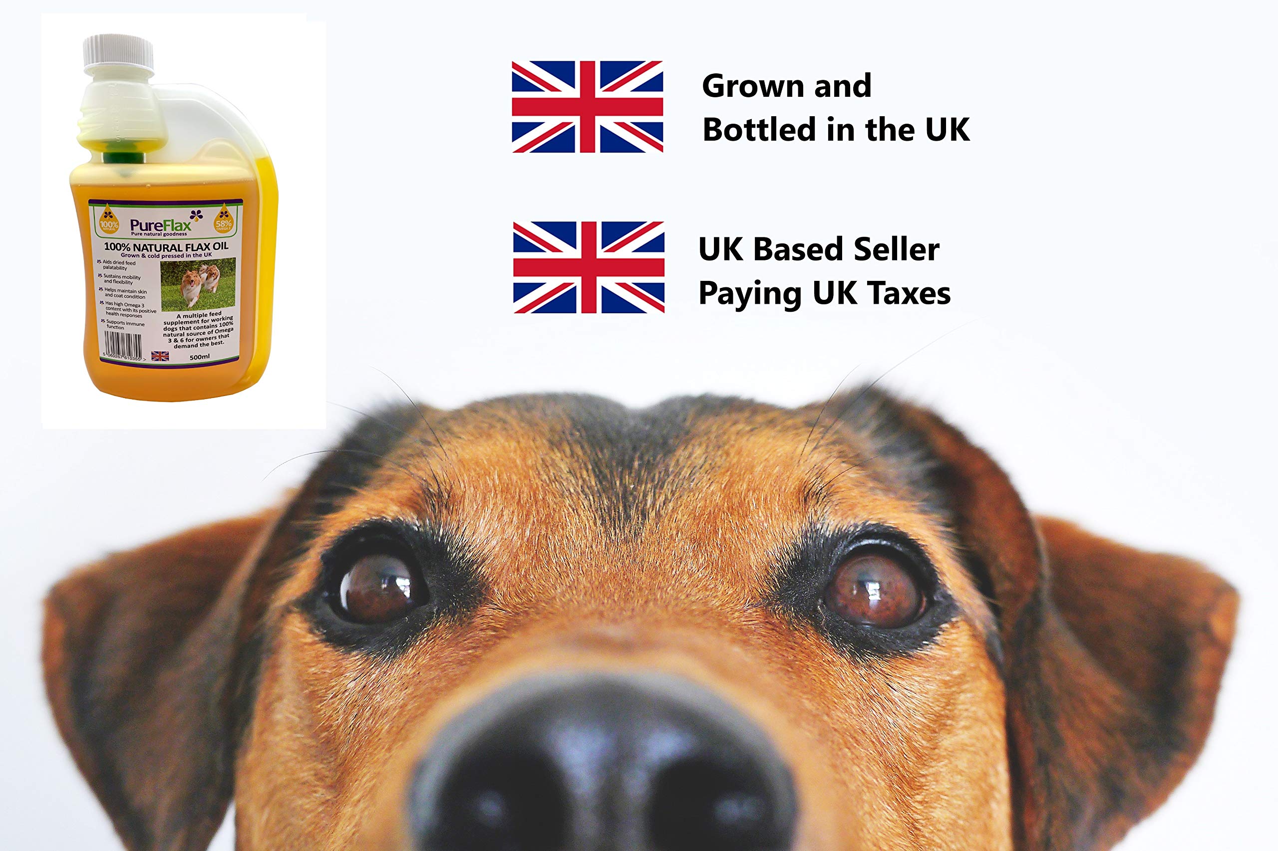 rich in omega 3 flaxseed oil