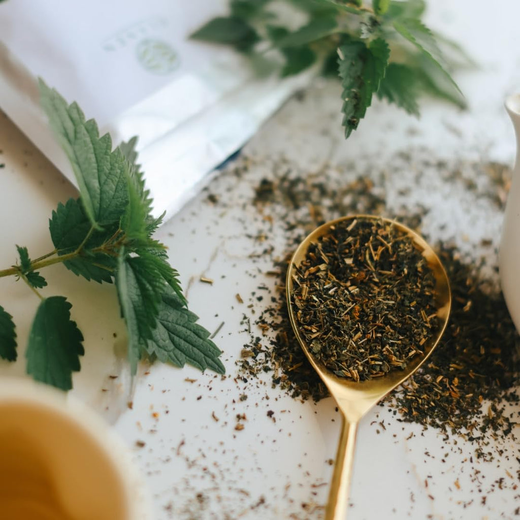 rich in vitamins stinging nettle tea