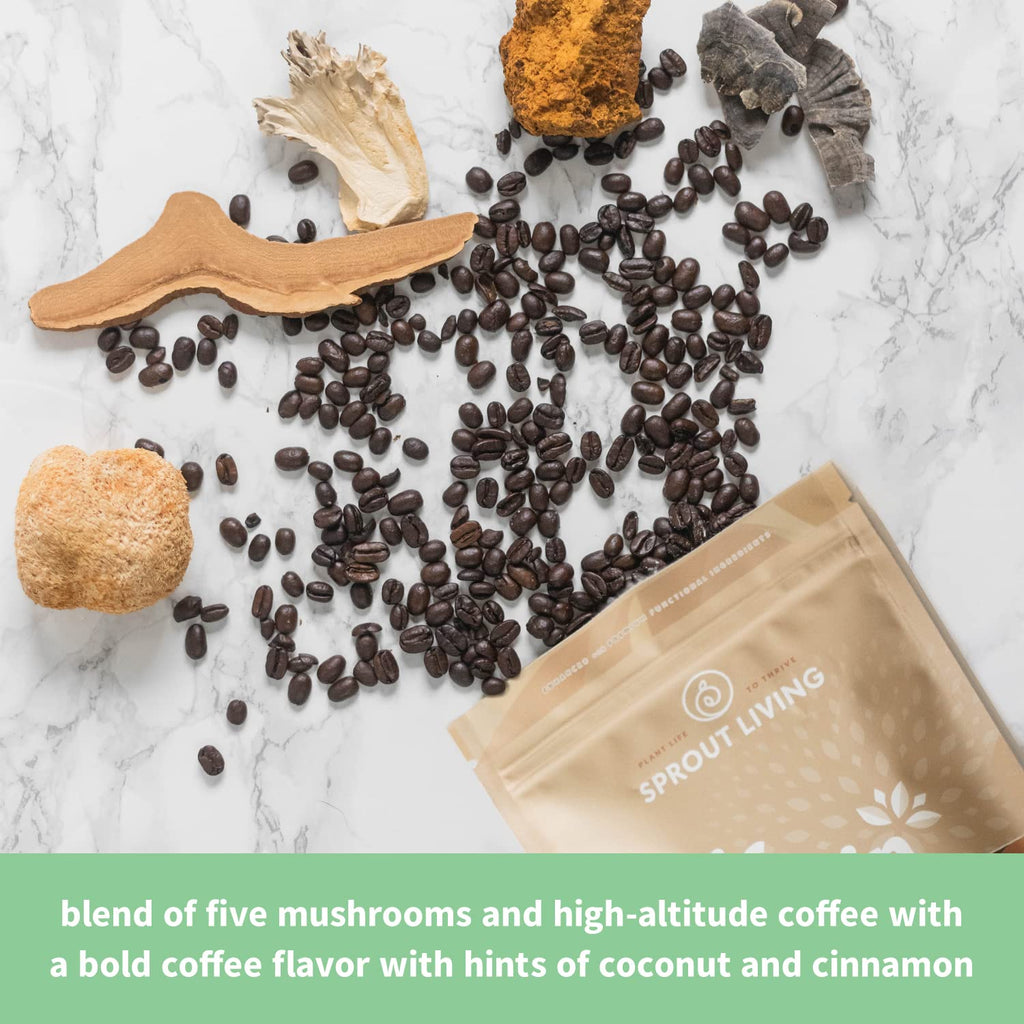 rich plant based protein beverage