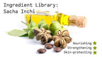 Rich source of Omega 3-6-9