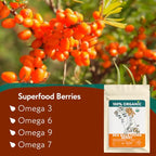 rich source of omega fatty acids