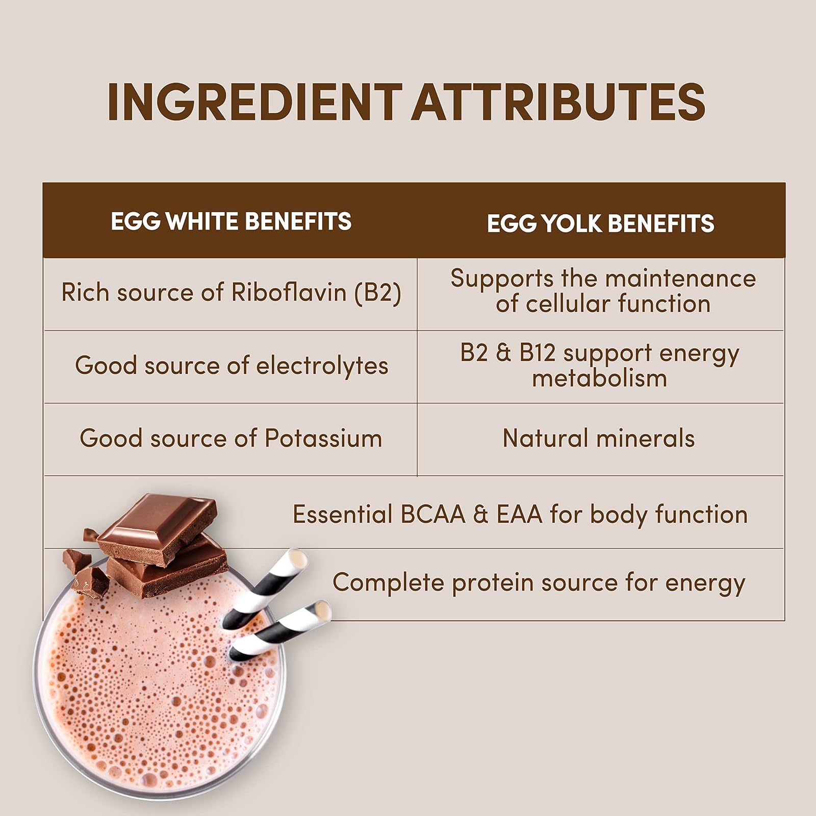 rich source of plant based protein