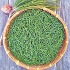 rich source of vitamins herbal tea