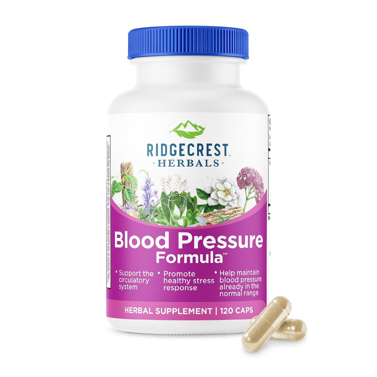 RidgeCrest Herbals blood pressure support