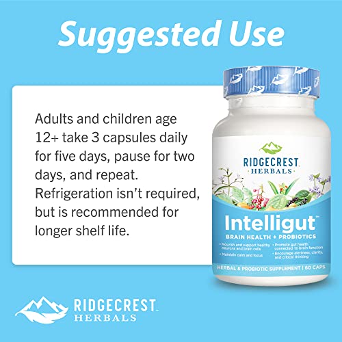 RidgeCrest Herbals cognitive health solution