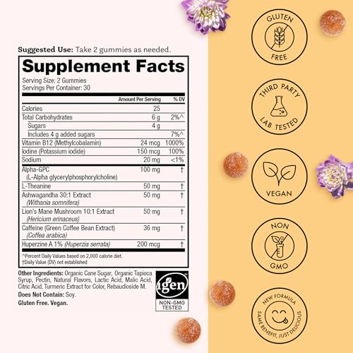 Rise Up gummies for busy lifestyles