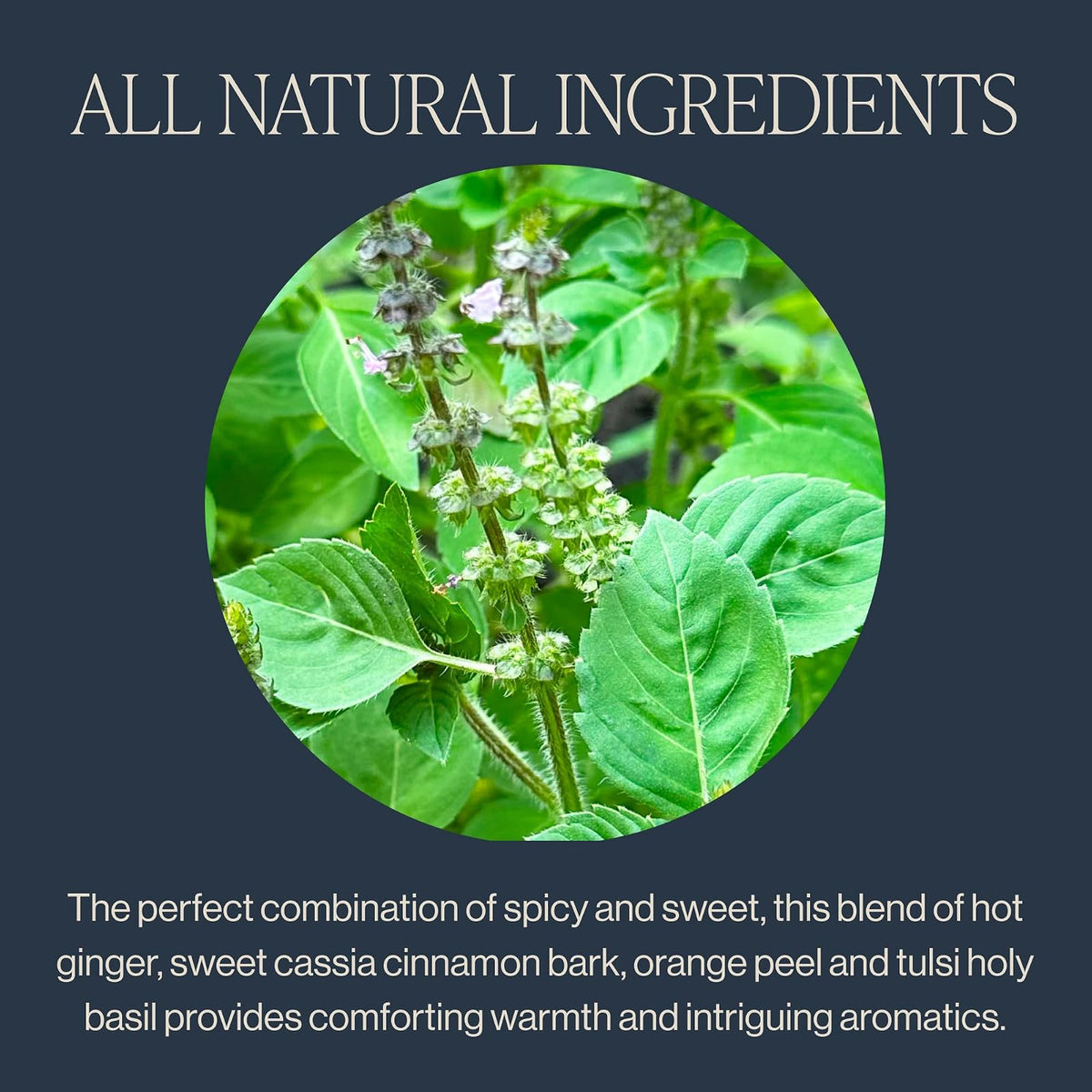 Rishi Tea herbal detox blend