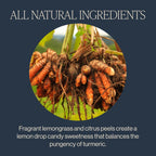 Rishi Tea turmeric ginger blend