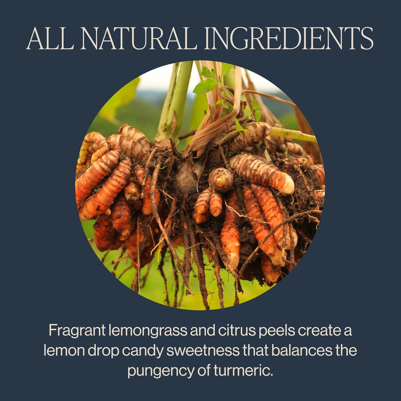 Rishi Tea turmeric ginger blend