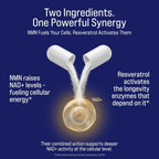 Rivium antioxidant blend for wellness