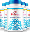 Rize Labs Pine XP 300 capsules