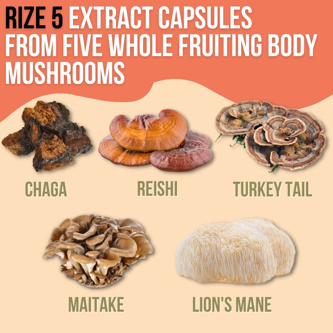 Rize mushrooms for energy boost