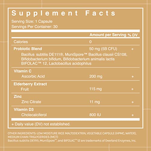 rmdy elderberry for daily health