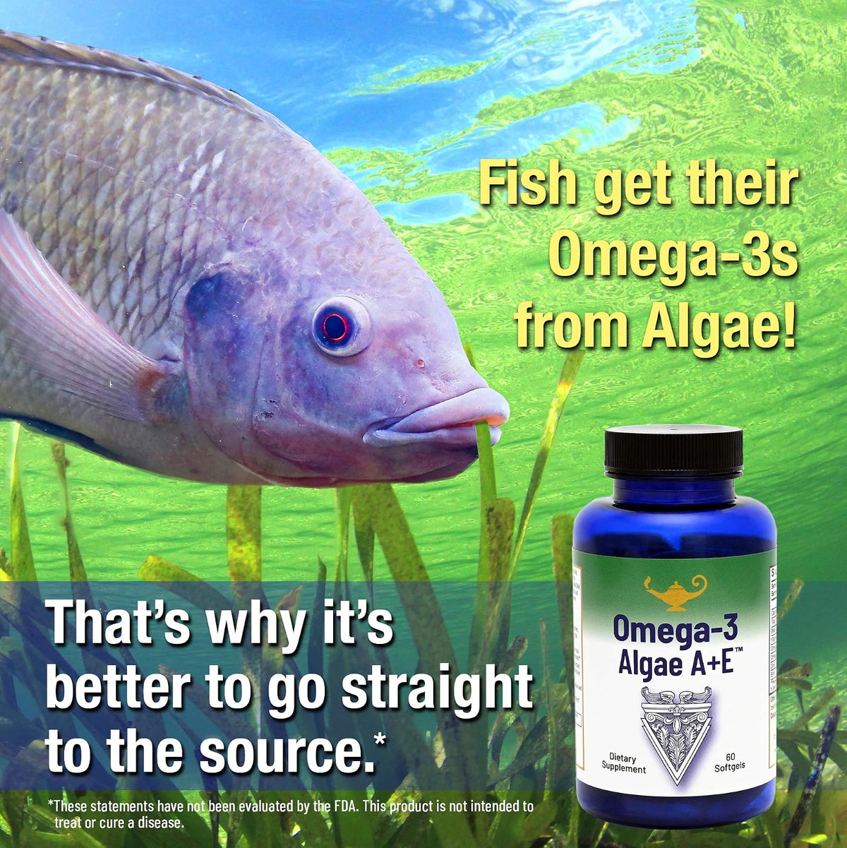 RnA ReSet fish oil alternative