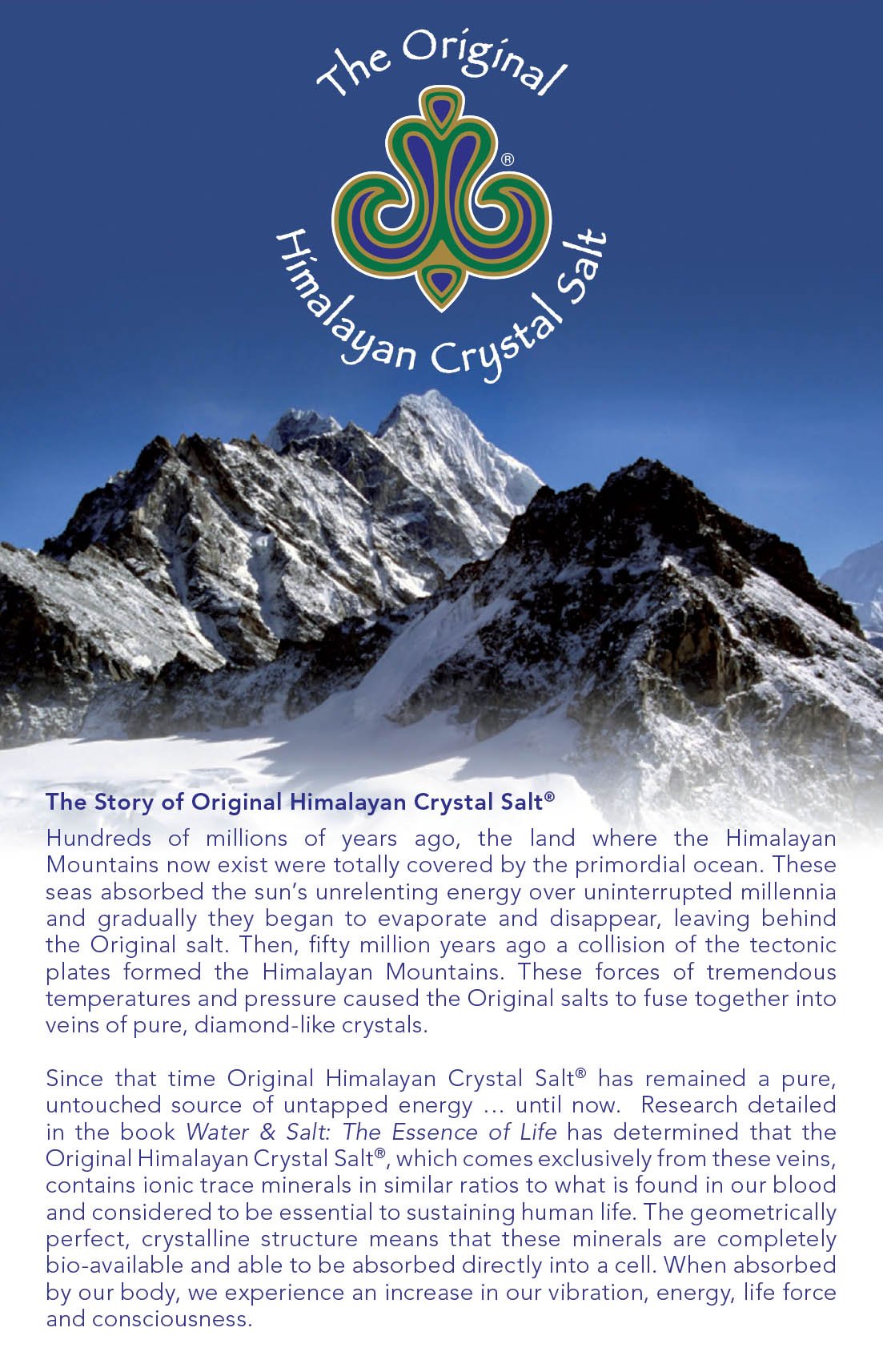 rock salt for gourmet cooking