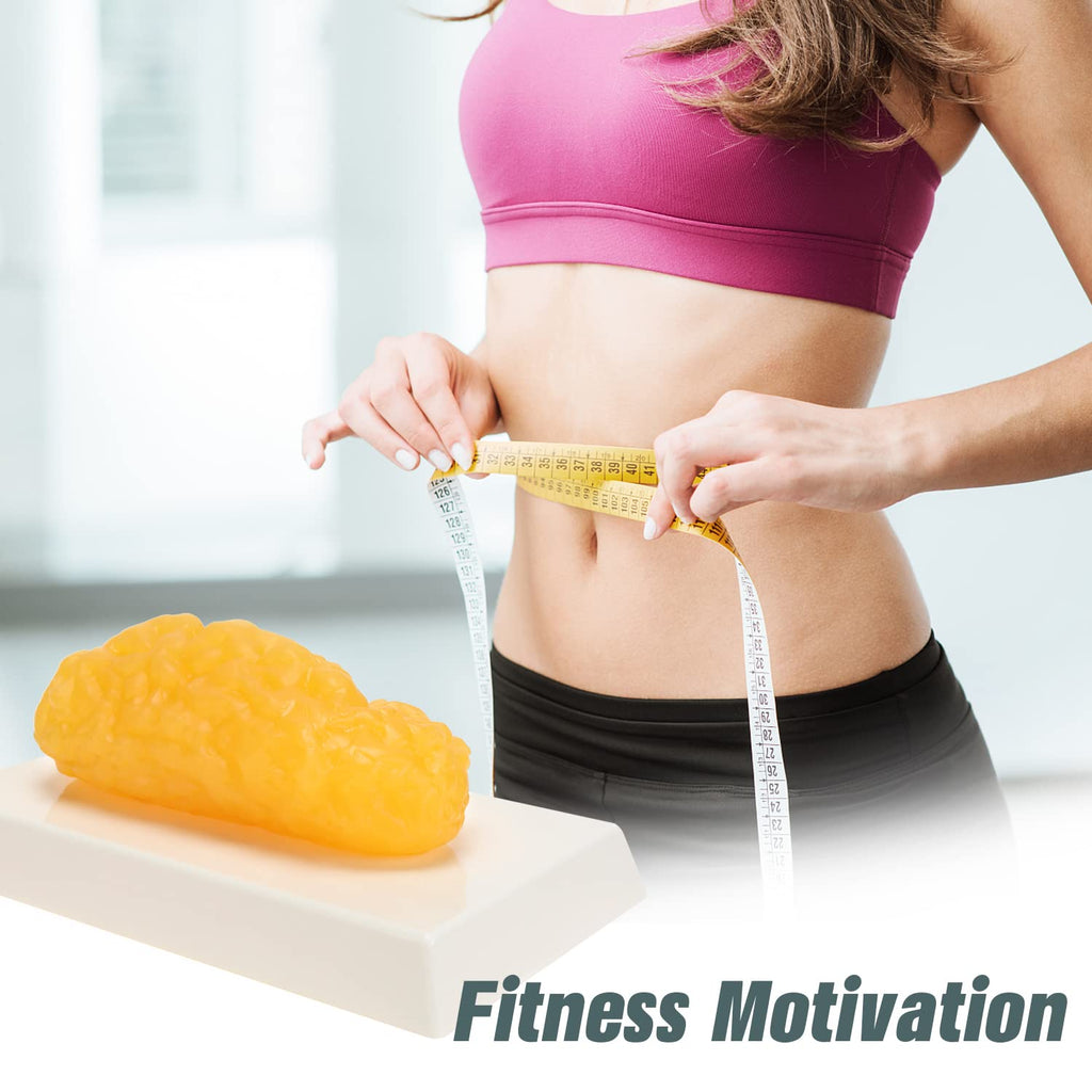 RONTEN fat model for fitness education