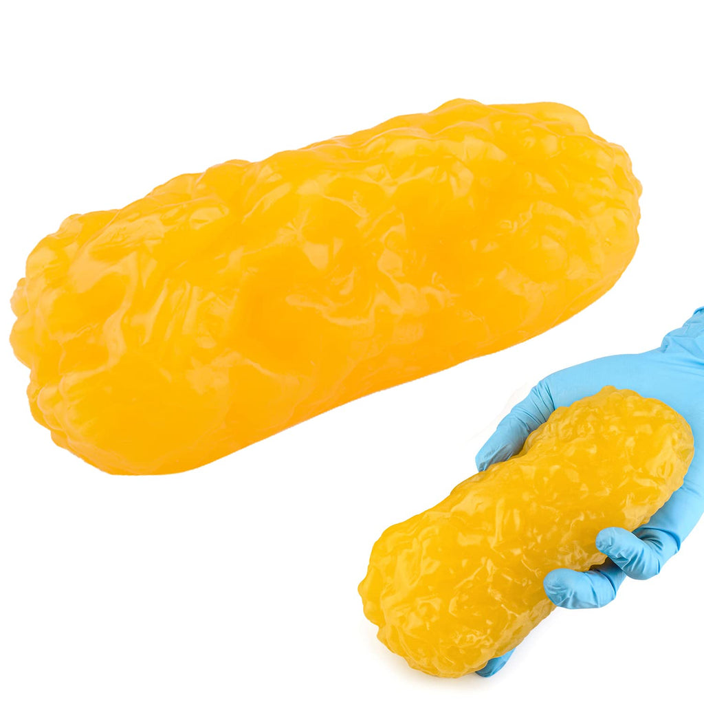 RONTEN human fat model for education