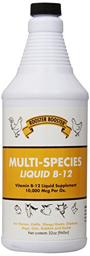 Rooster Booster vitamin B12 liquid