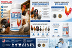 Rooster health with B12 B15