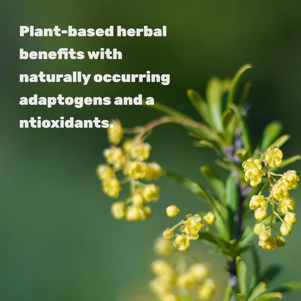Root & brand berberine supplement benefits